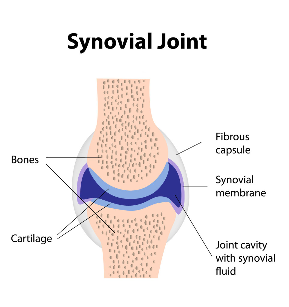 Knees On Pain What Puts You At Risk Pegasus Pain Management Knees On Pain What Puts You At Risk Pegasus Pain Management